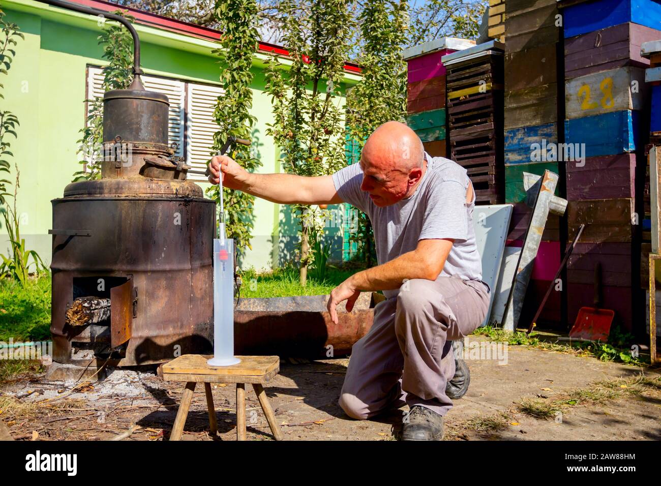 Man is using glass alcoholmeter for determining the amount ...