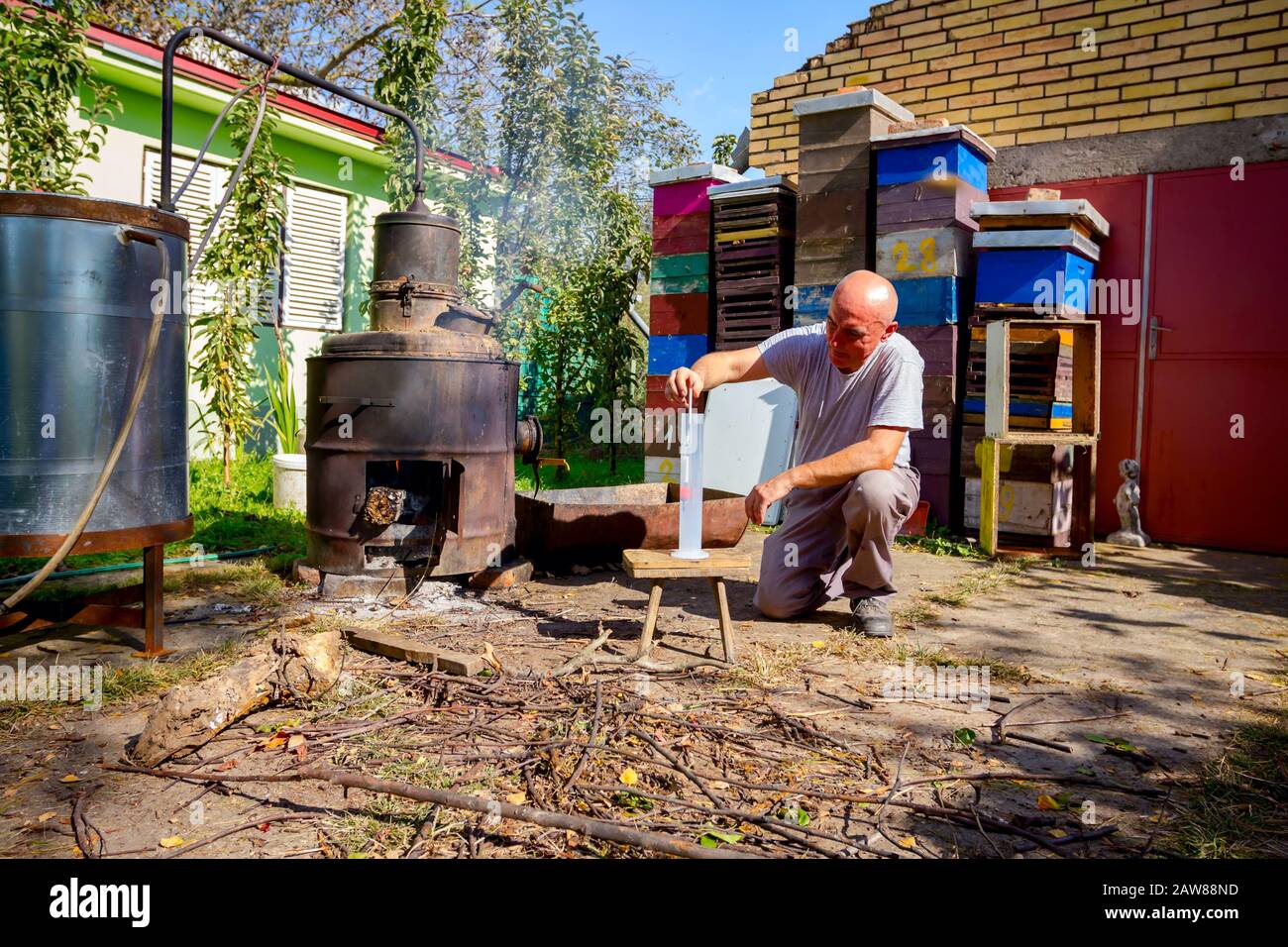 Man is using glass alcoholmeter for determining the amount ...