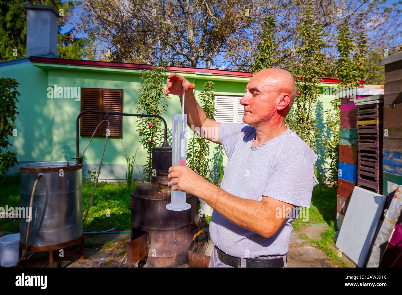 Man is using glass alcoholmeter for determining the amount ...