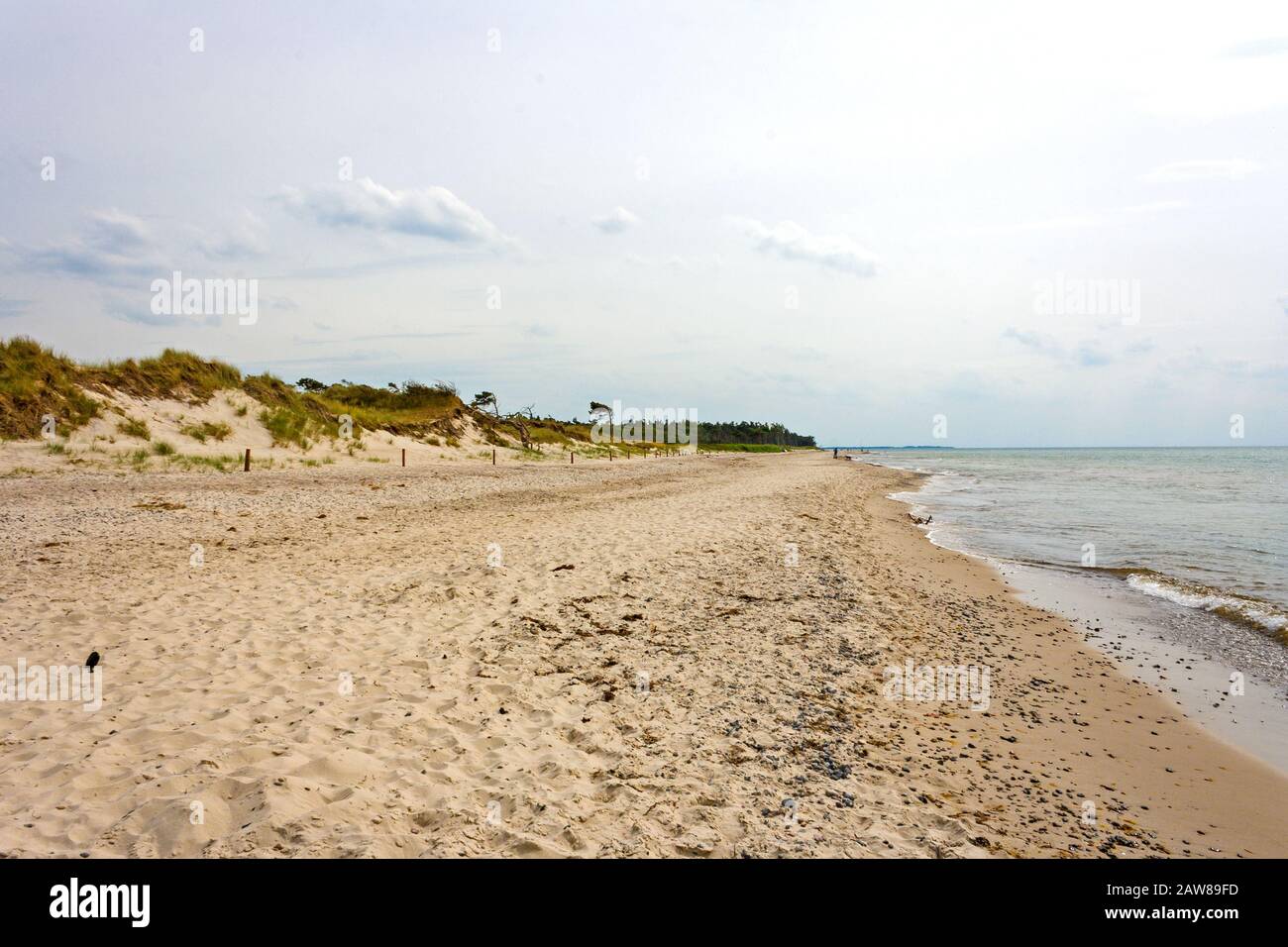 Darss "Weststrand", famous beach near "Darsser Ort", peninsula ...