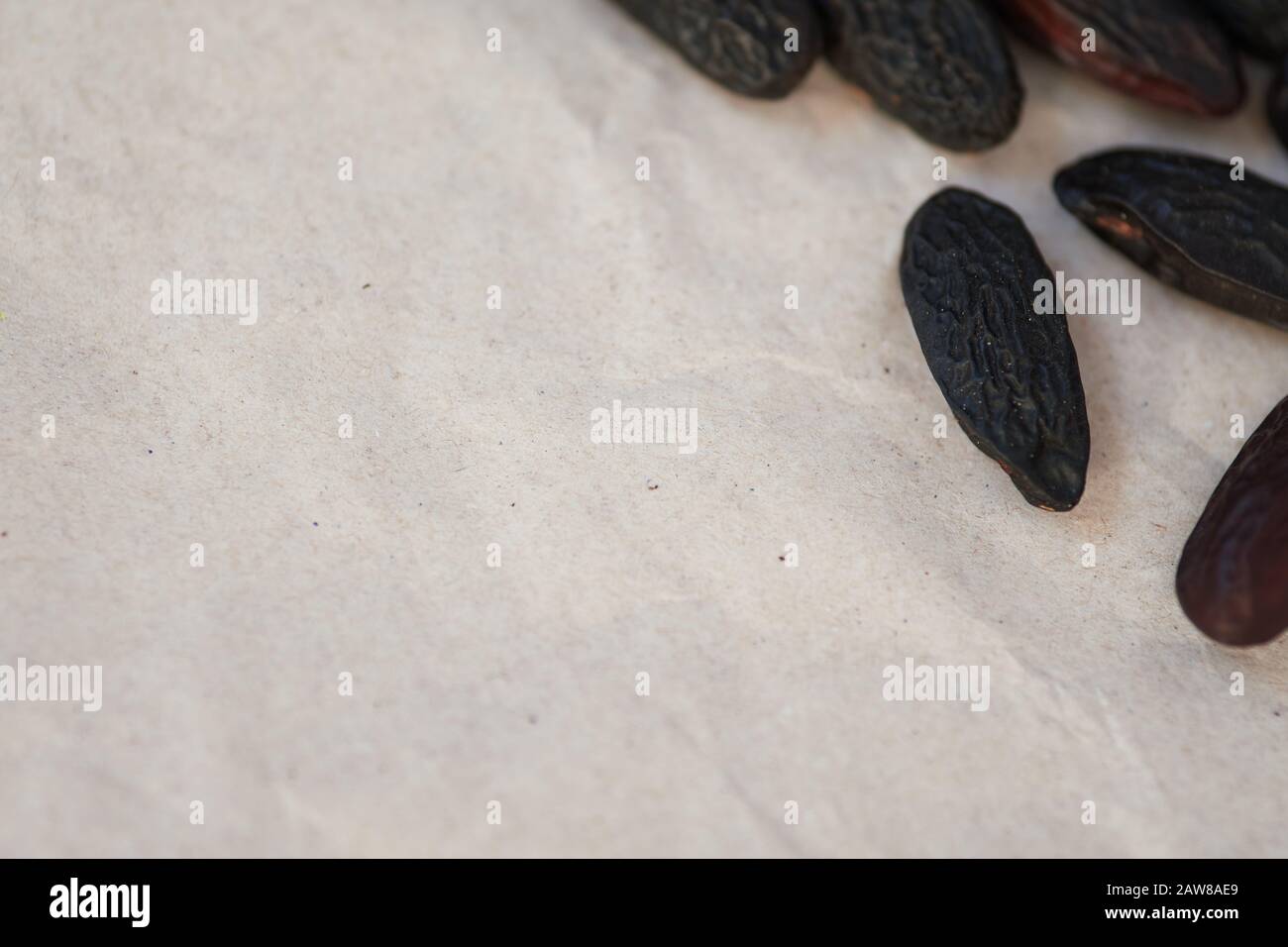 Macro photography of Tonka beans (Dipteryx odorata) aligned Stock Photo ...