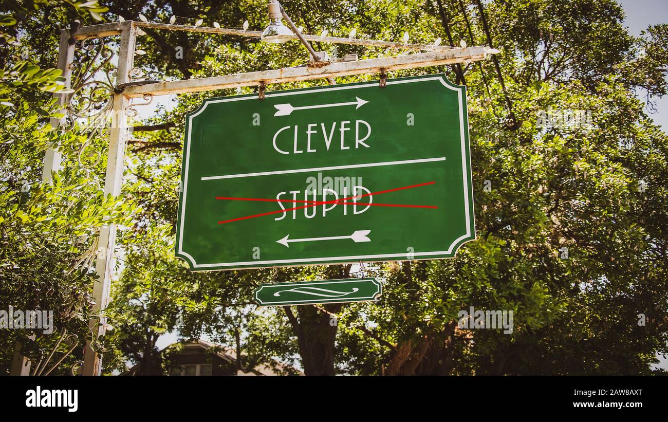 Street Sign the Direction Way to Clever versus Stupid Stock Photo - Alamy