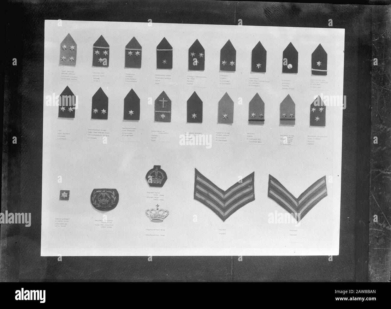 rank insignia and emblems of the Princess Irene Brigade Date: {1940 ...