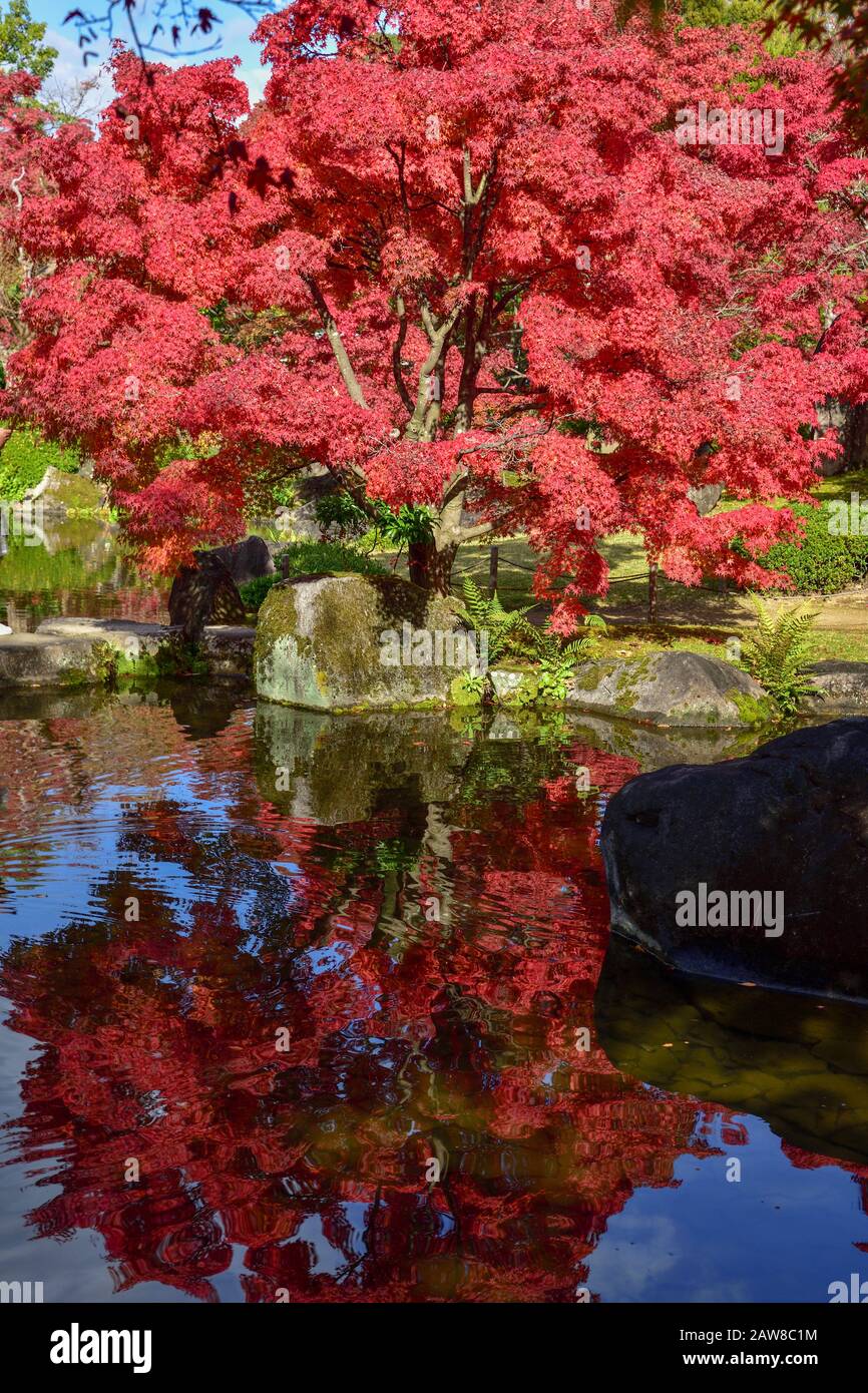 Beautiful trees and plants are decorated in Koko-En garden near Himeji ...