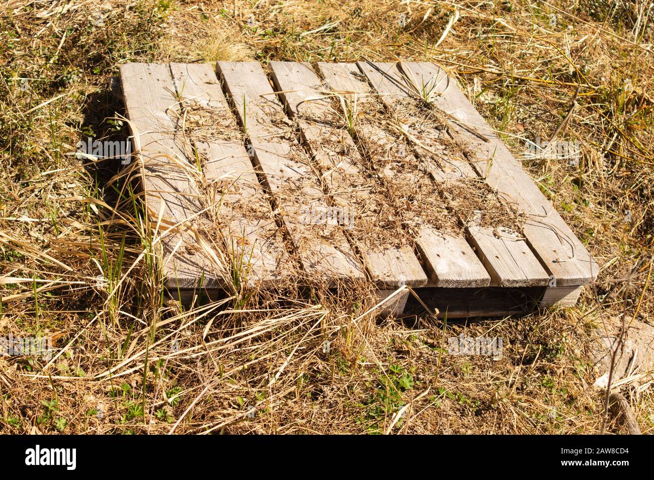 Timber planked hi-res stock photography and images - Alamy
