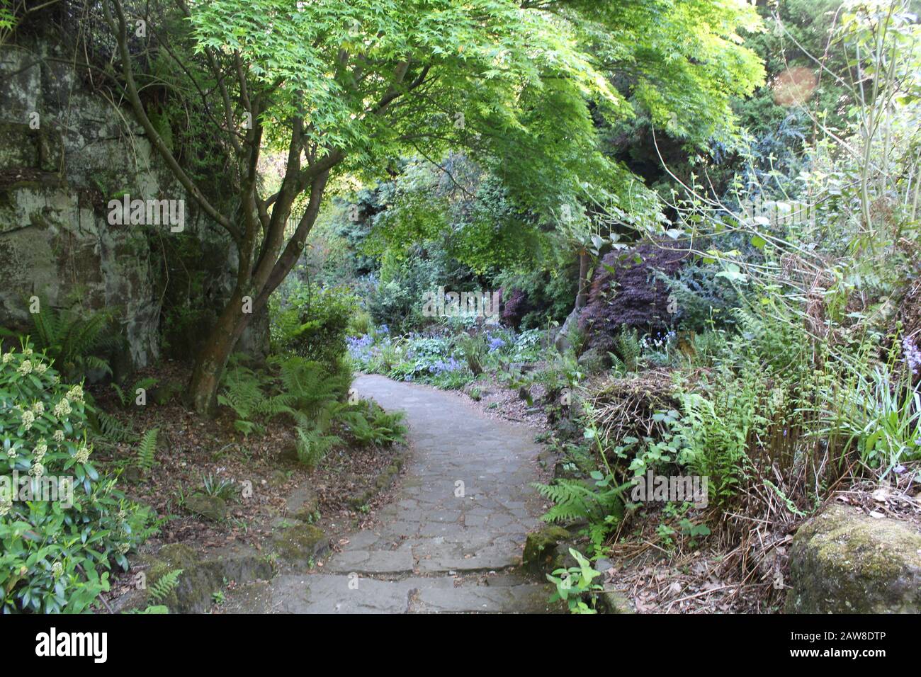 Sweeping path with over hanging foliage Stock Photo - Alamy