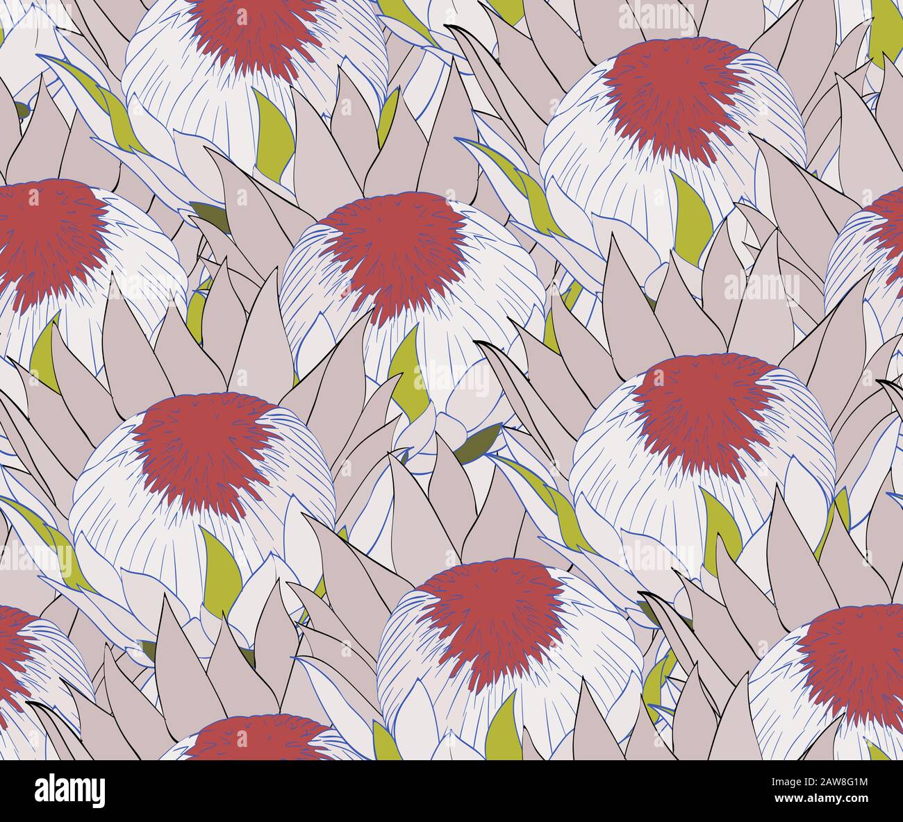 Protea art Stock Vector Images - Alamy