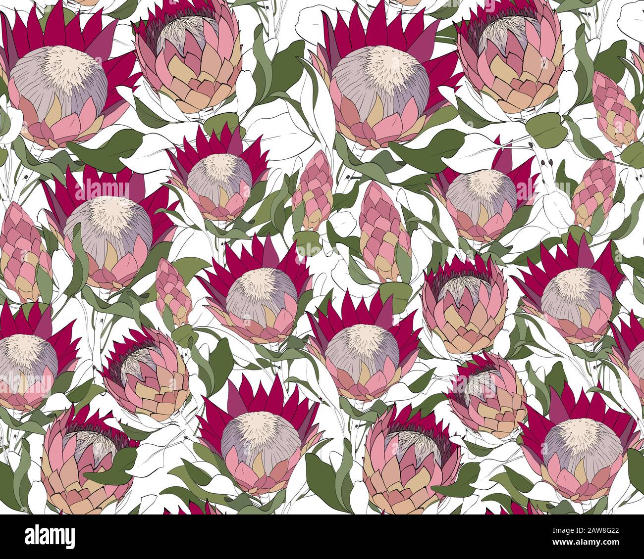 Set of watercolor protea flower hi-res stock photography and images - Alamy