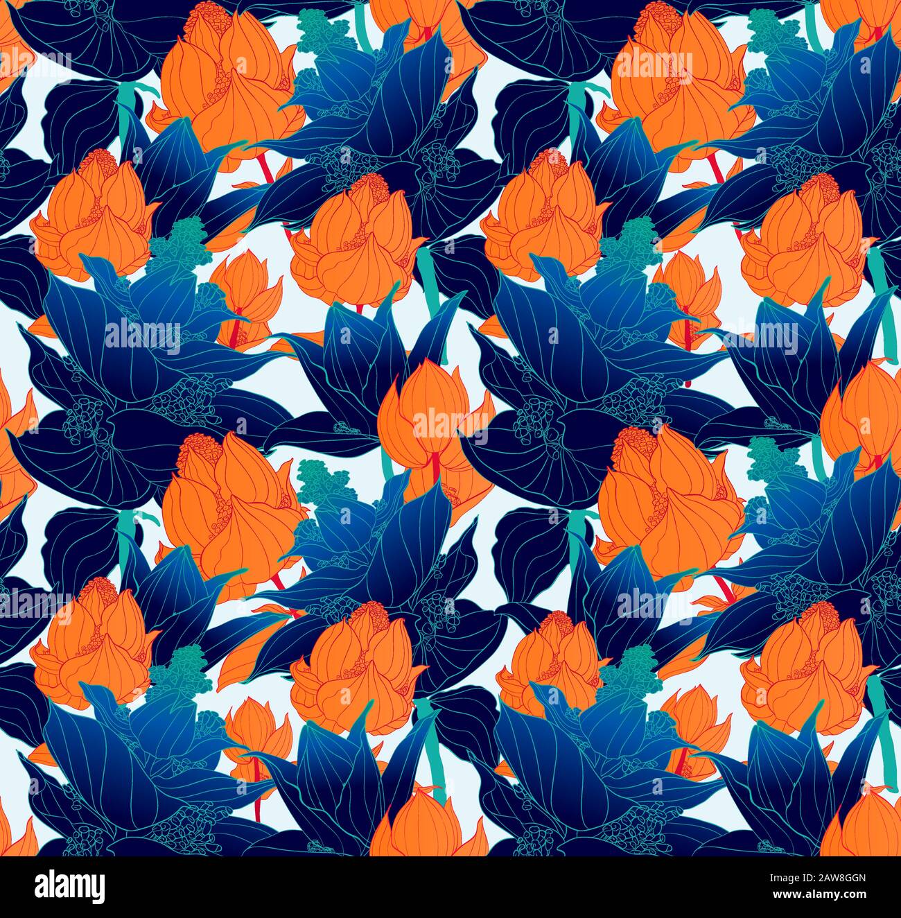 Medinilla medinilla magnifica flower Stock Vector Images - Alamy