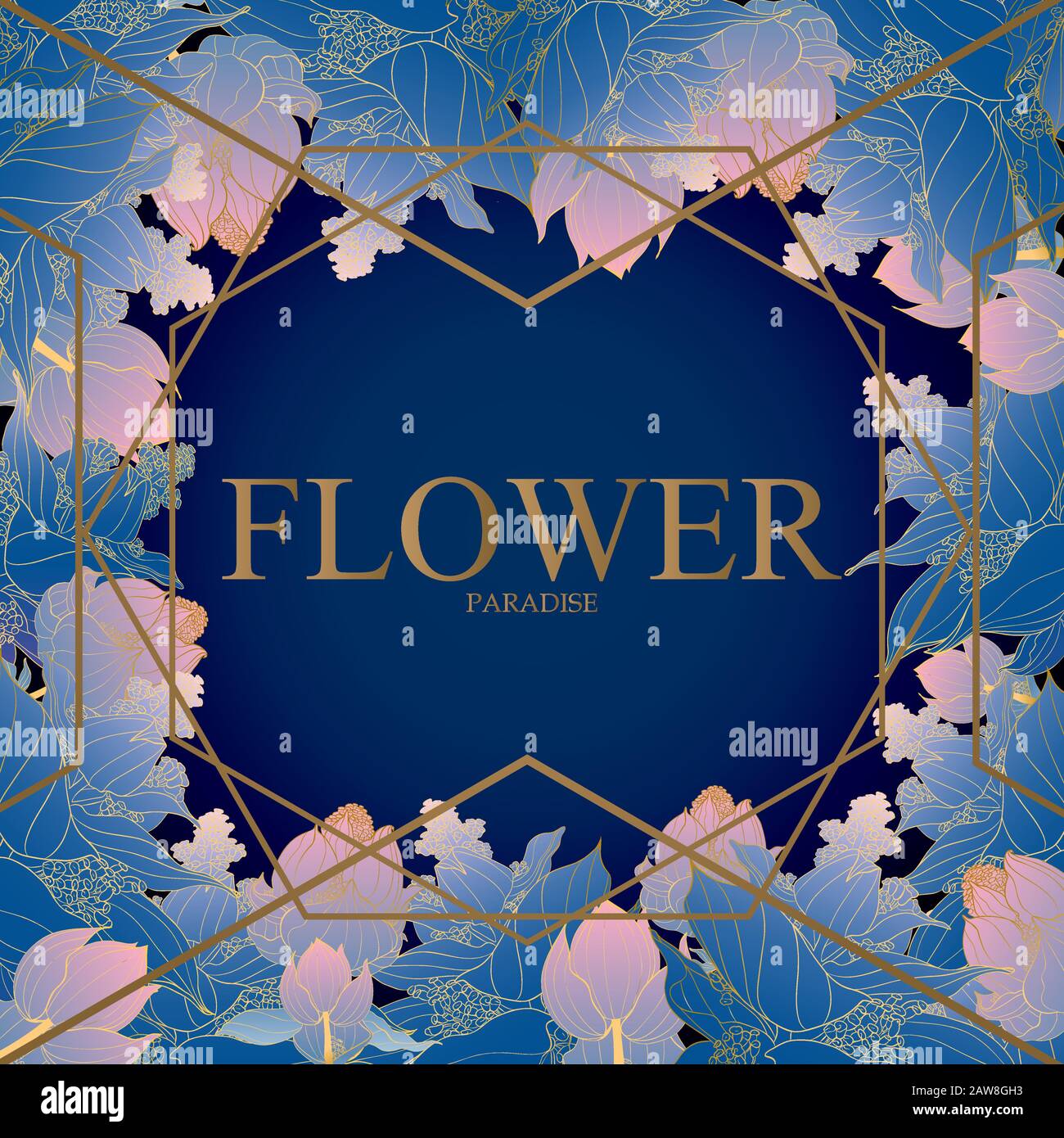 Protea flower frame hi-res stock photography and images - Alamy