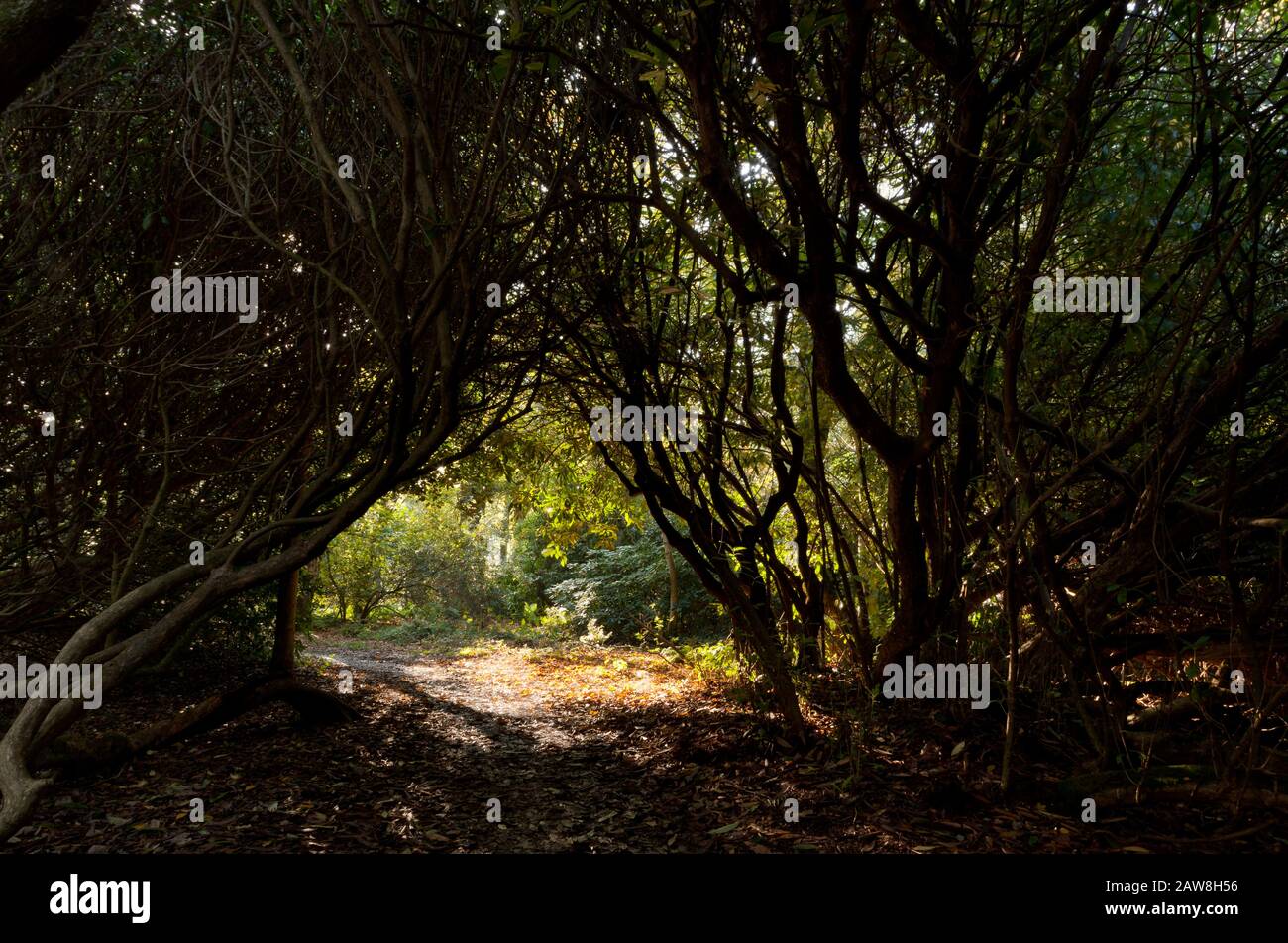 Light the way hi-res stock photography and images - Alamy