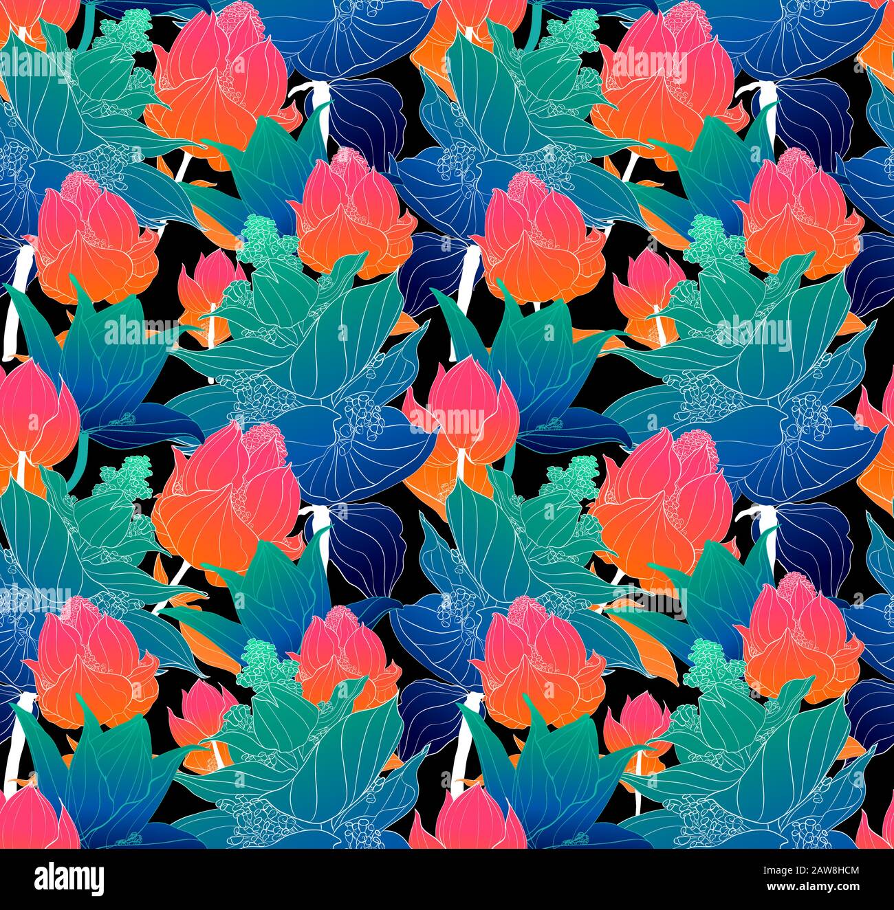 Medinilla medinilla magnifica flower Stock Vector Images - Alamy