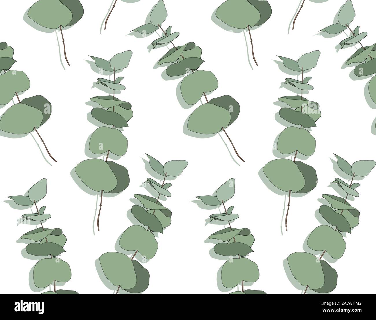 Eucalyptus baby blue, foliage natural branches with green leaves seeds ...