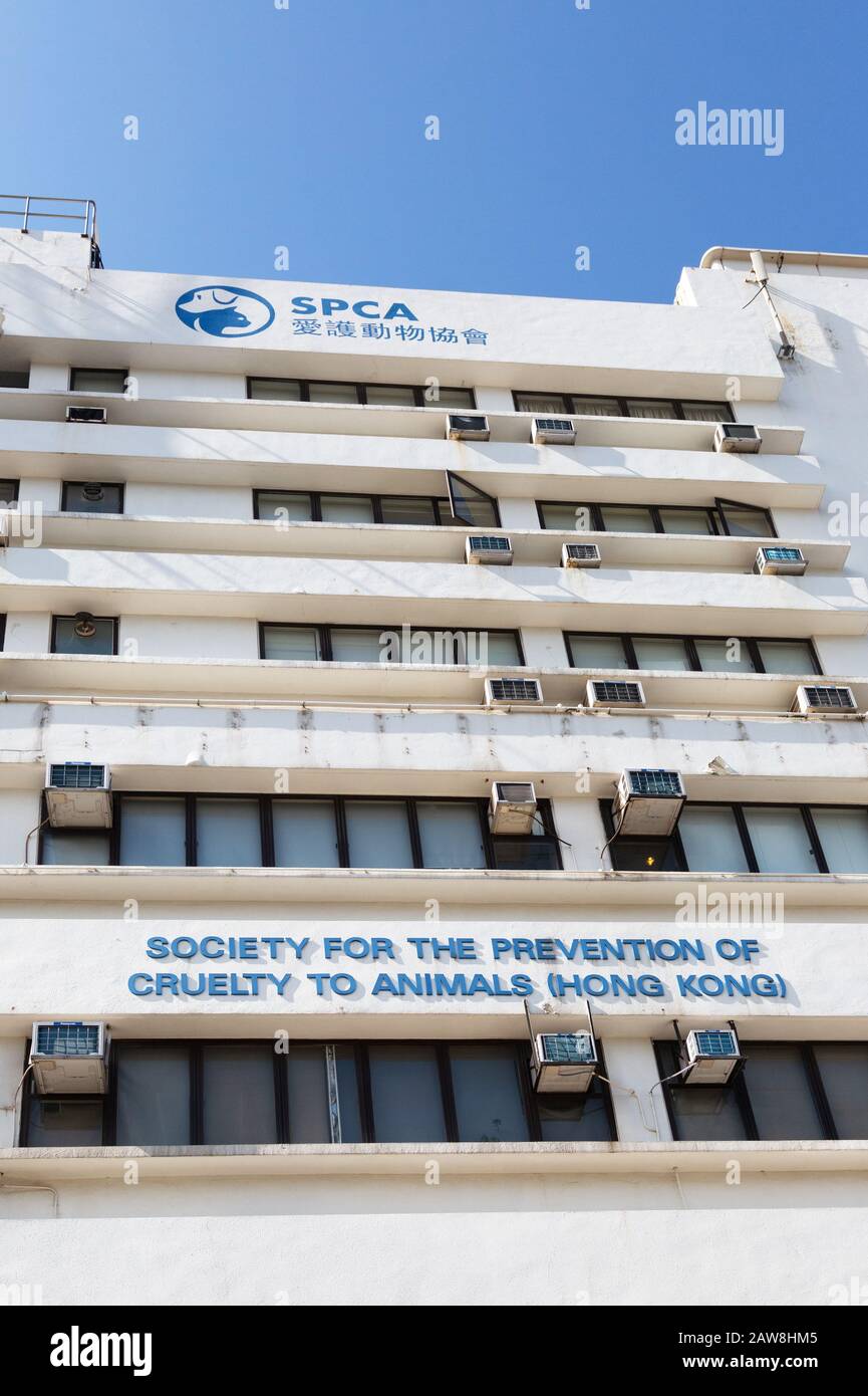 Spca hong kong hi-res stock photography and images - Alamy