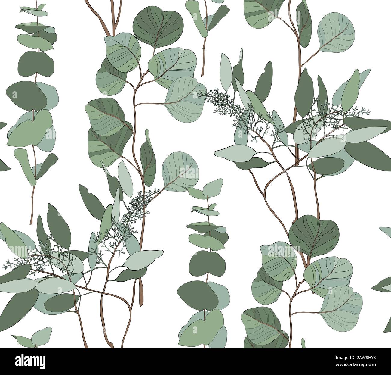 Baby blue eucalyptus Stock Vector Images - Alamy