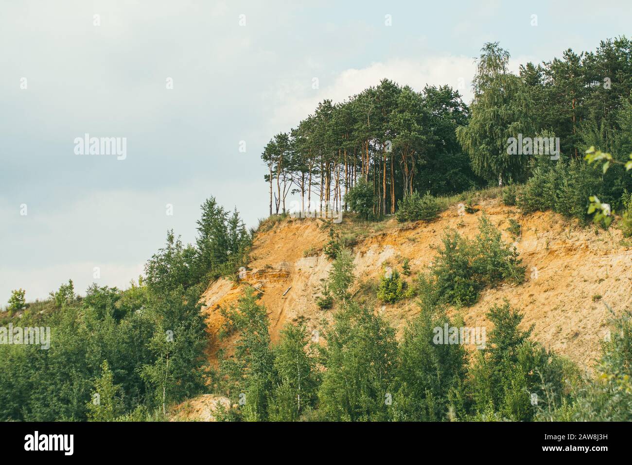 High rocky sandy steep bank covered with pine trees Stock Photo - Alamy