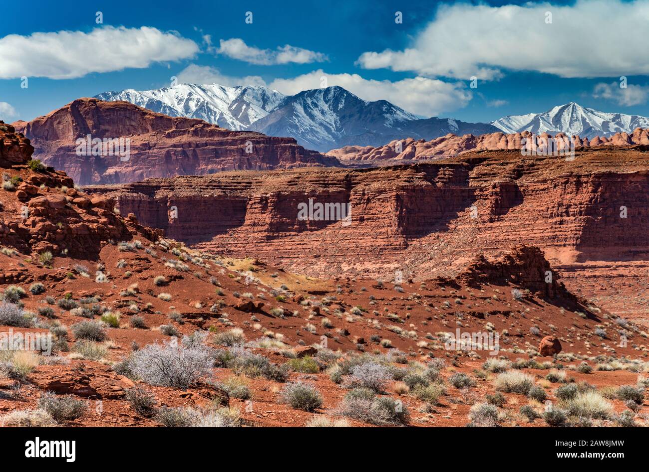 Trachyte Point Plateau cliffs, snowcapped Henry Mountains in distance ...