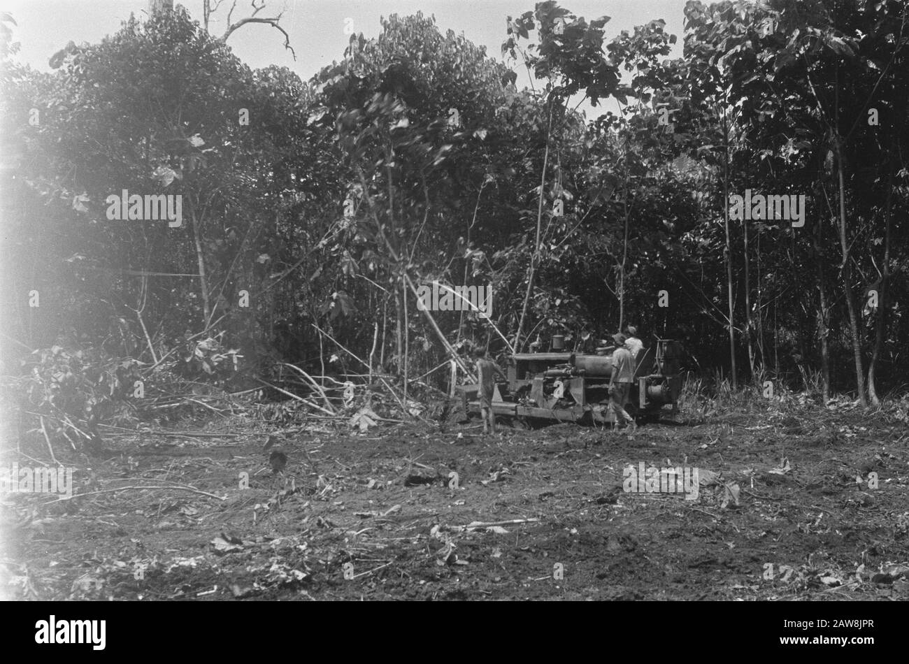 New Guinea Series Exploitation of forest Date: October 1948 Location ...