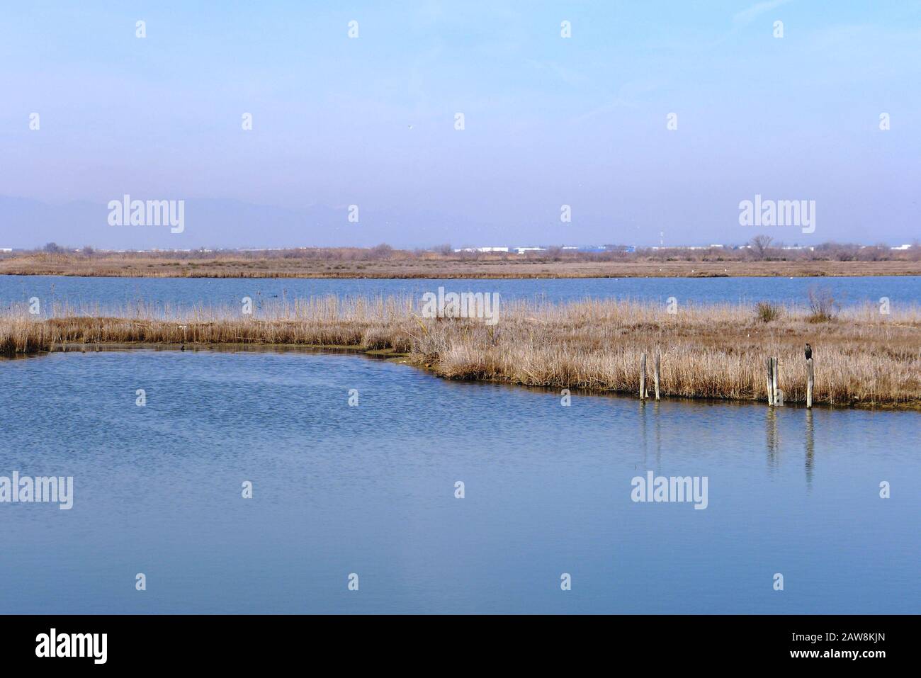 estuary of Axios river, lagoons and moors Stock Photo - Alamy