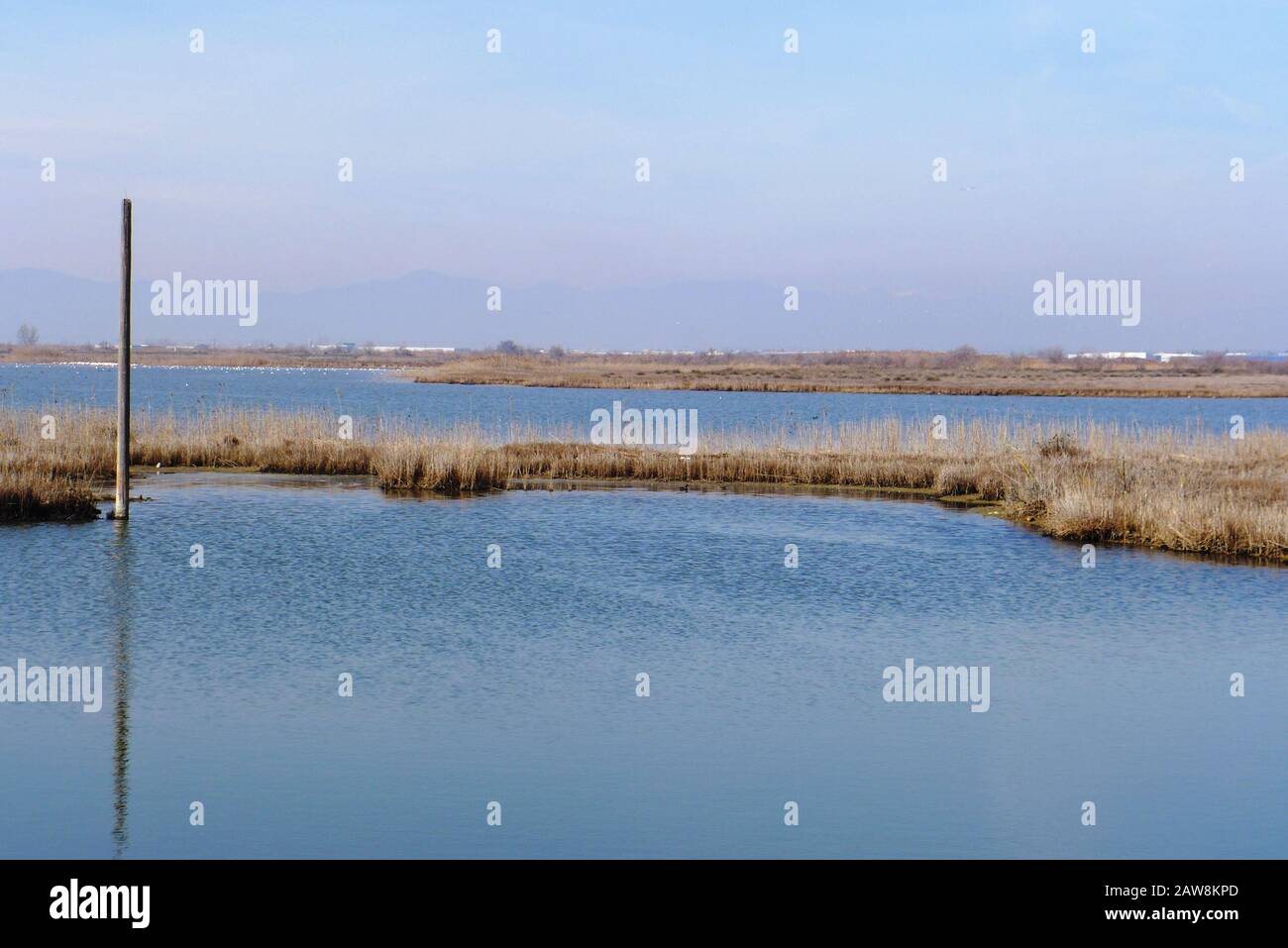 estuary of Axios river, lagoons and moors Stock Photo - Alamy