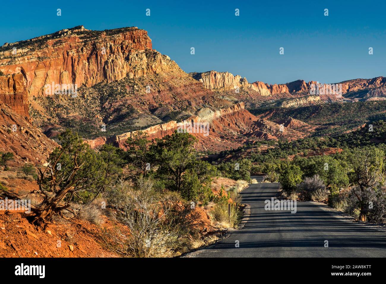 Scenic Drive road below Waterpocket Fold cliffs at sunset in Capitol ...