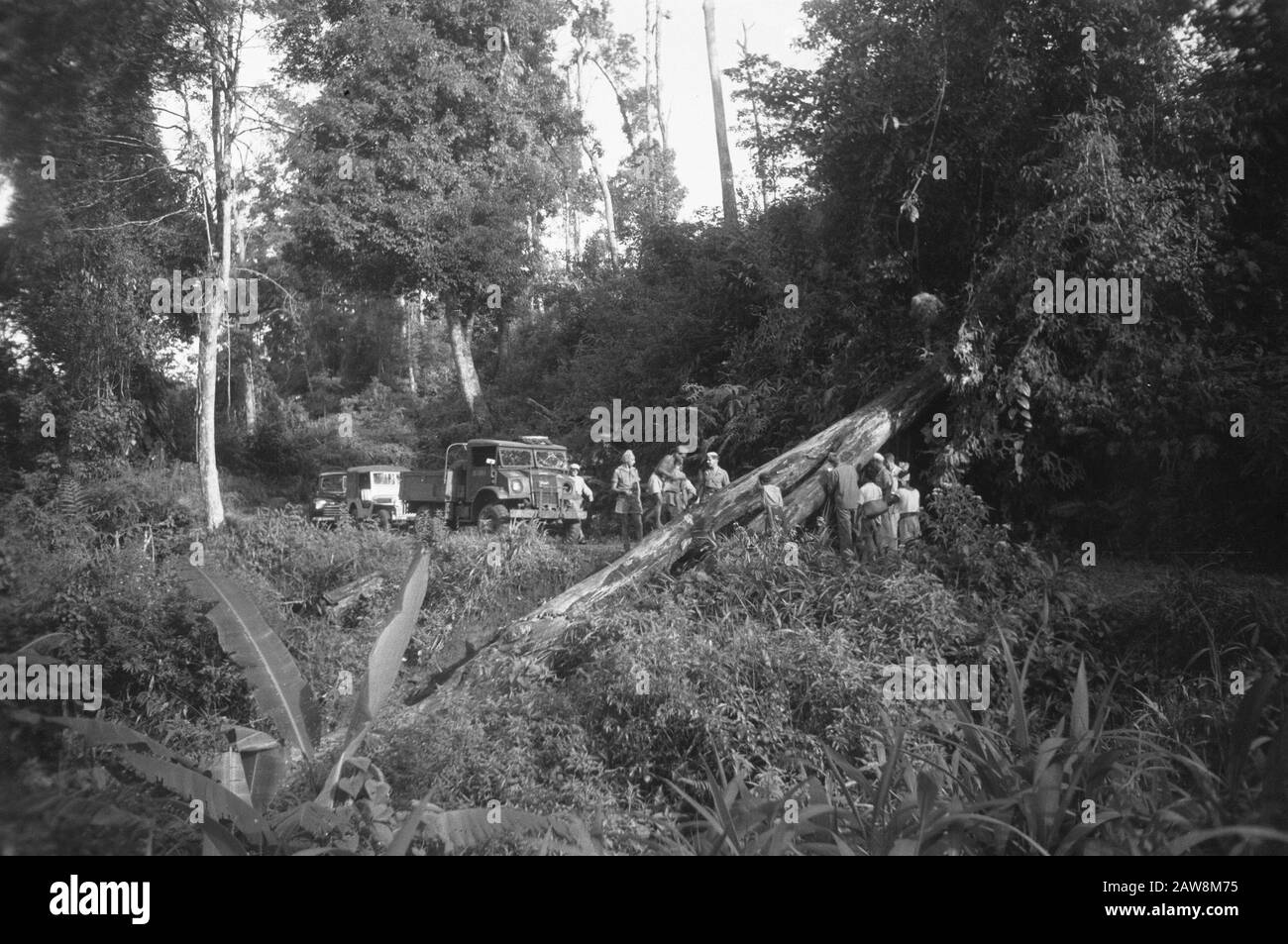 Boom barriers hi-res stock photography and images - Alamy