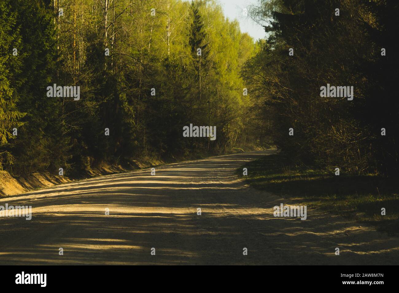 Forest road. way through the forest. country roadway Stock Photo - Alamy