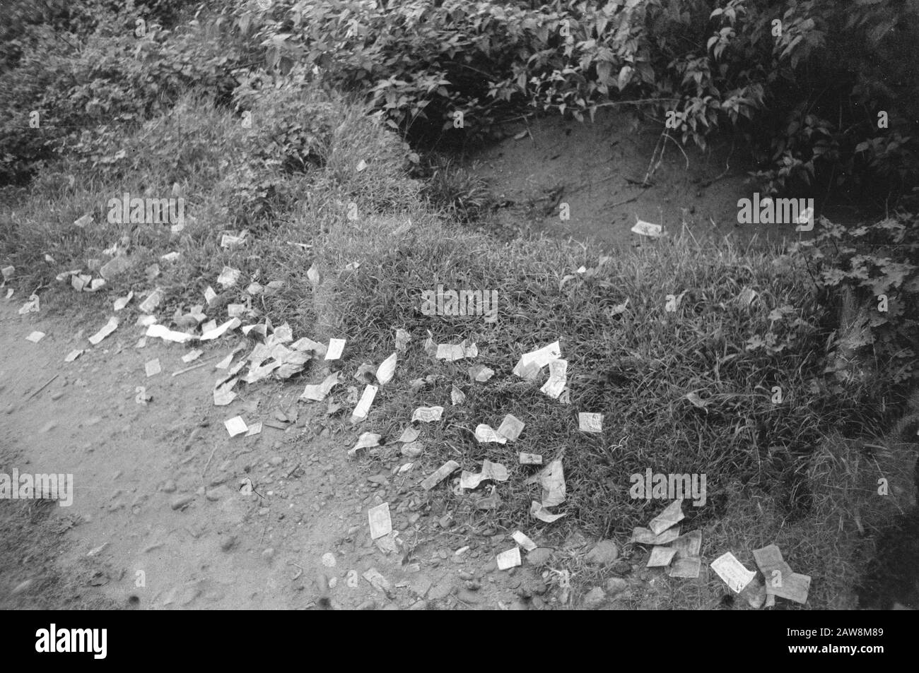 Saw bills Black and White Stock Photos & Images - Alamy