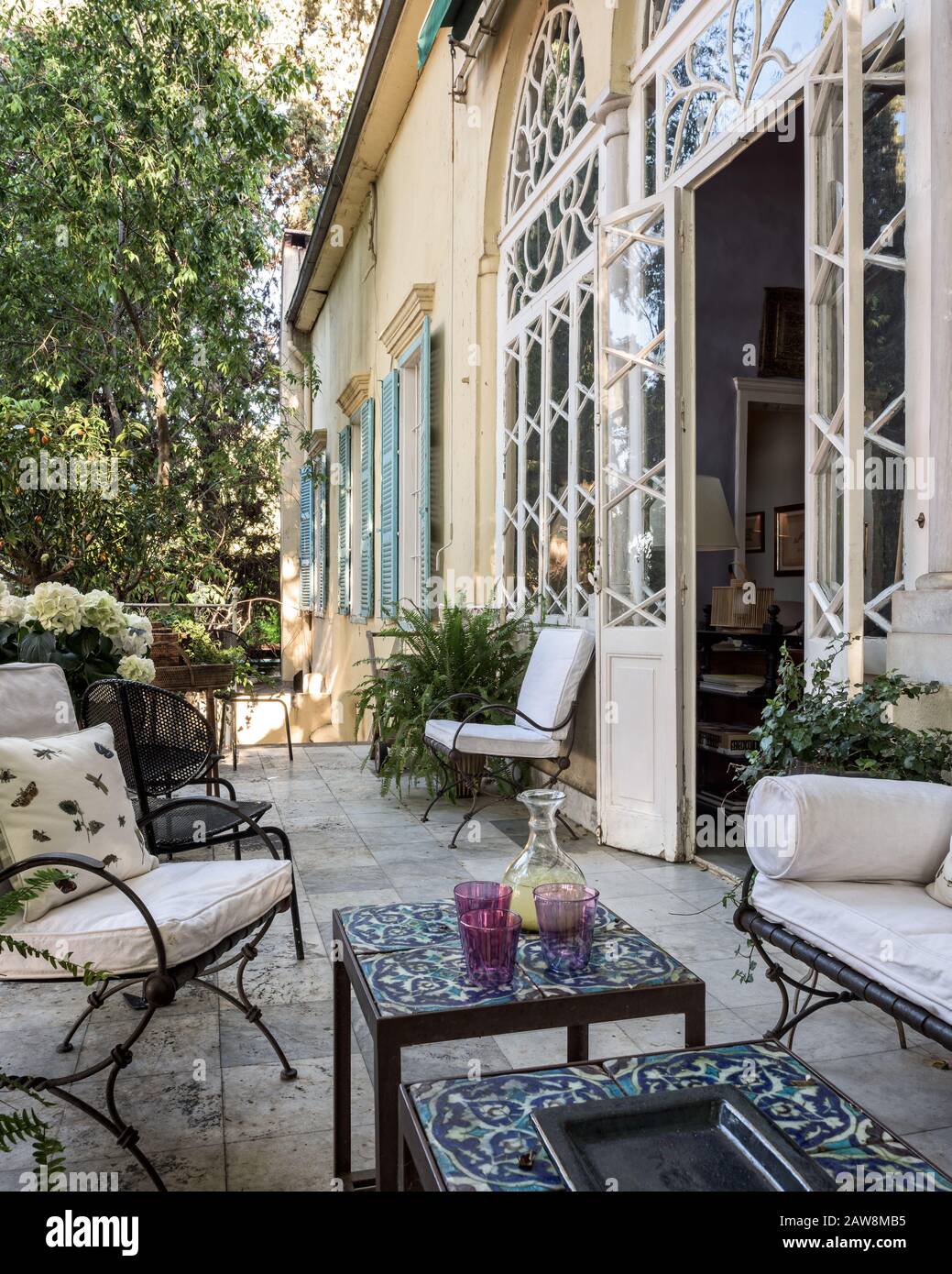 Potted ferns hi-res stock photography and images - Alamy