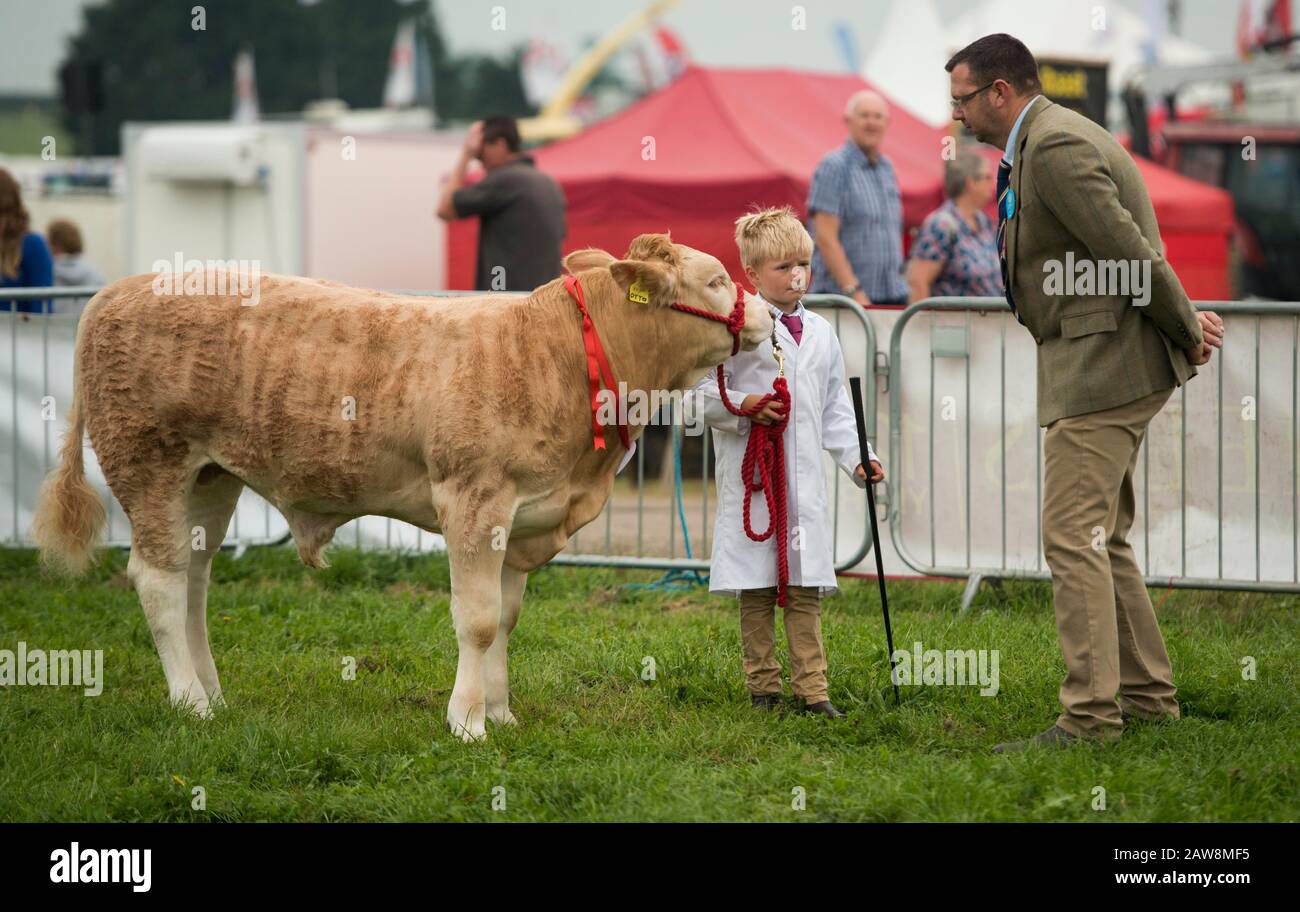 Dorset County Show Stock Photo - Alamy