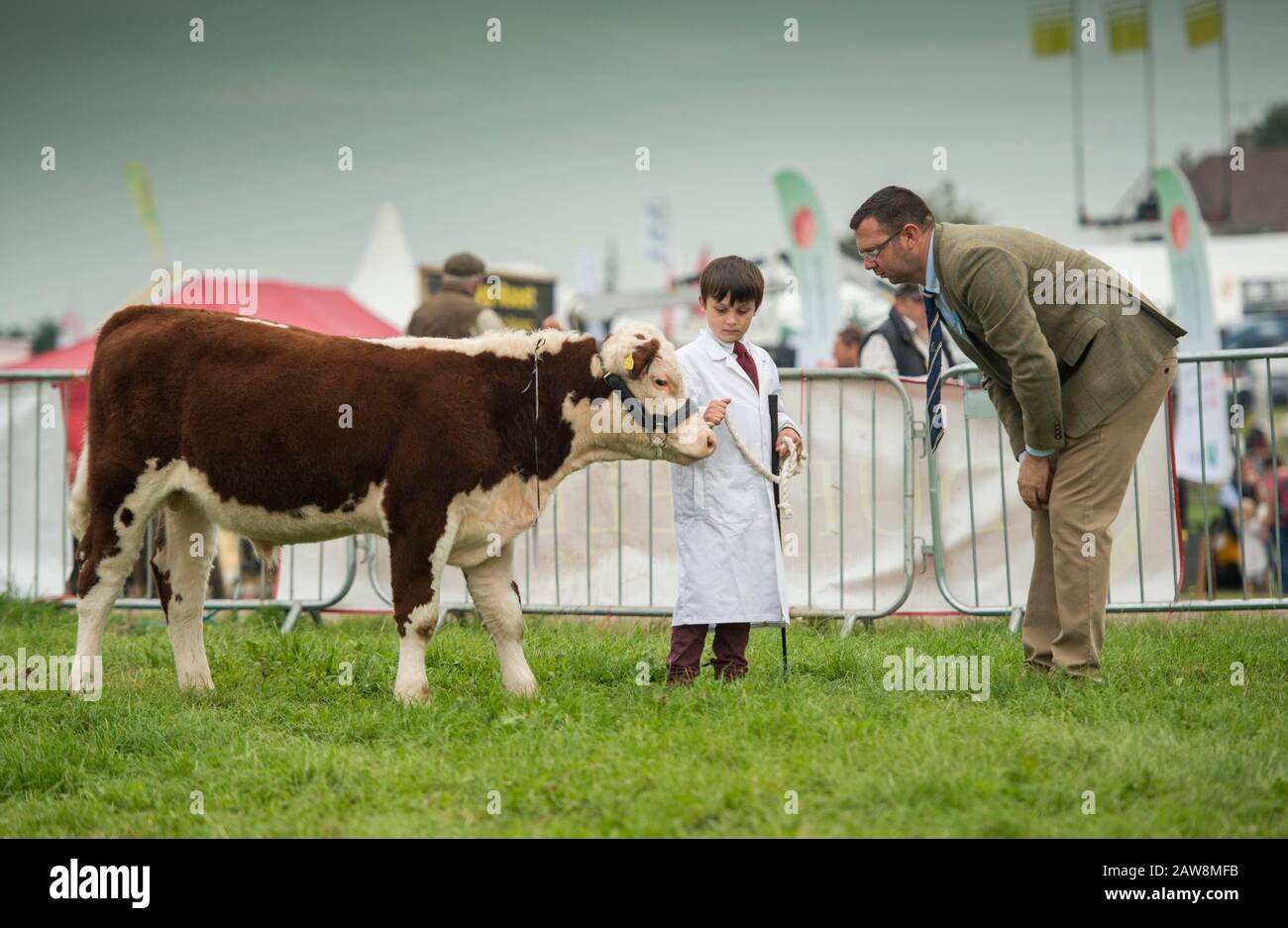 Dorset County Show Stock Photo - Alamy