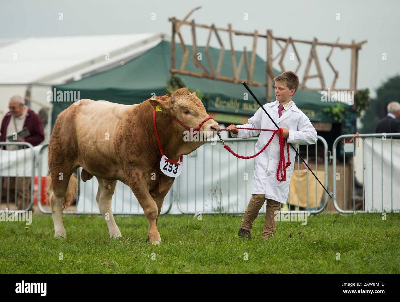 Dorset County Show Stock Photo - Alamy
