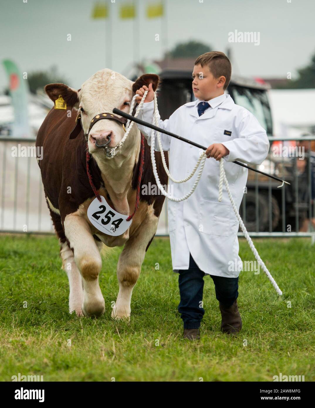 Dorset County Show Stock Photo - Alamy