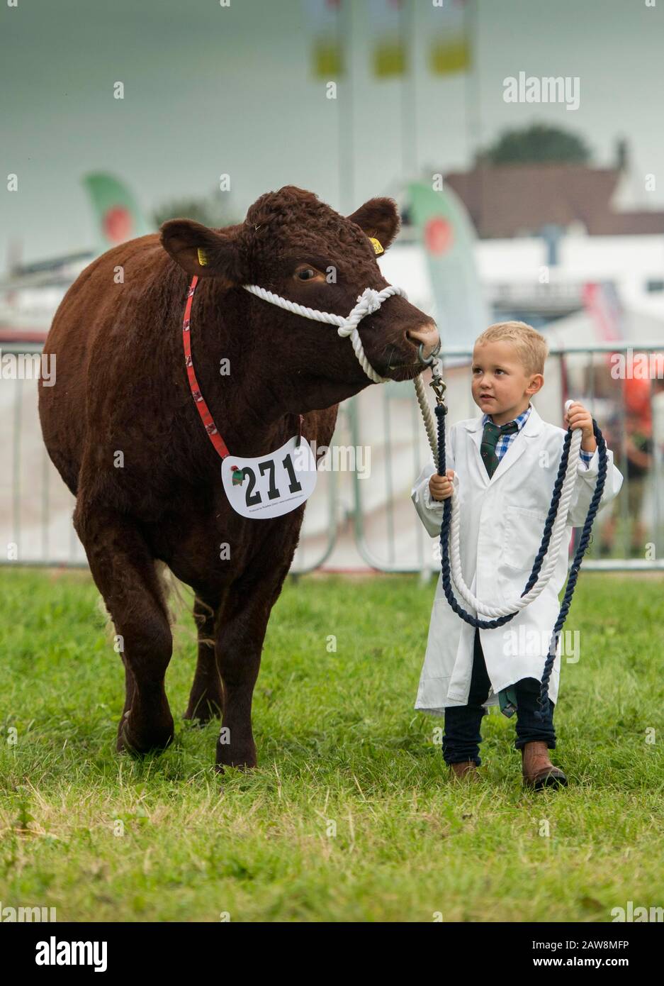 Dorset county show hi-res stock photography and images - Alamy