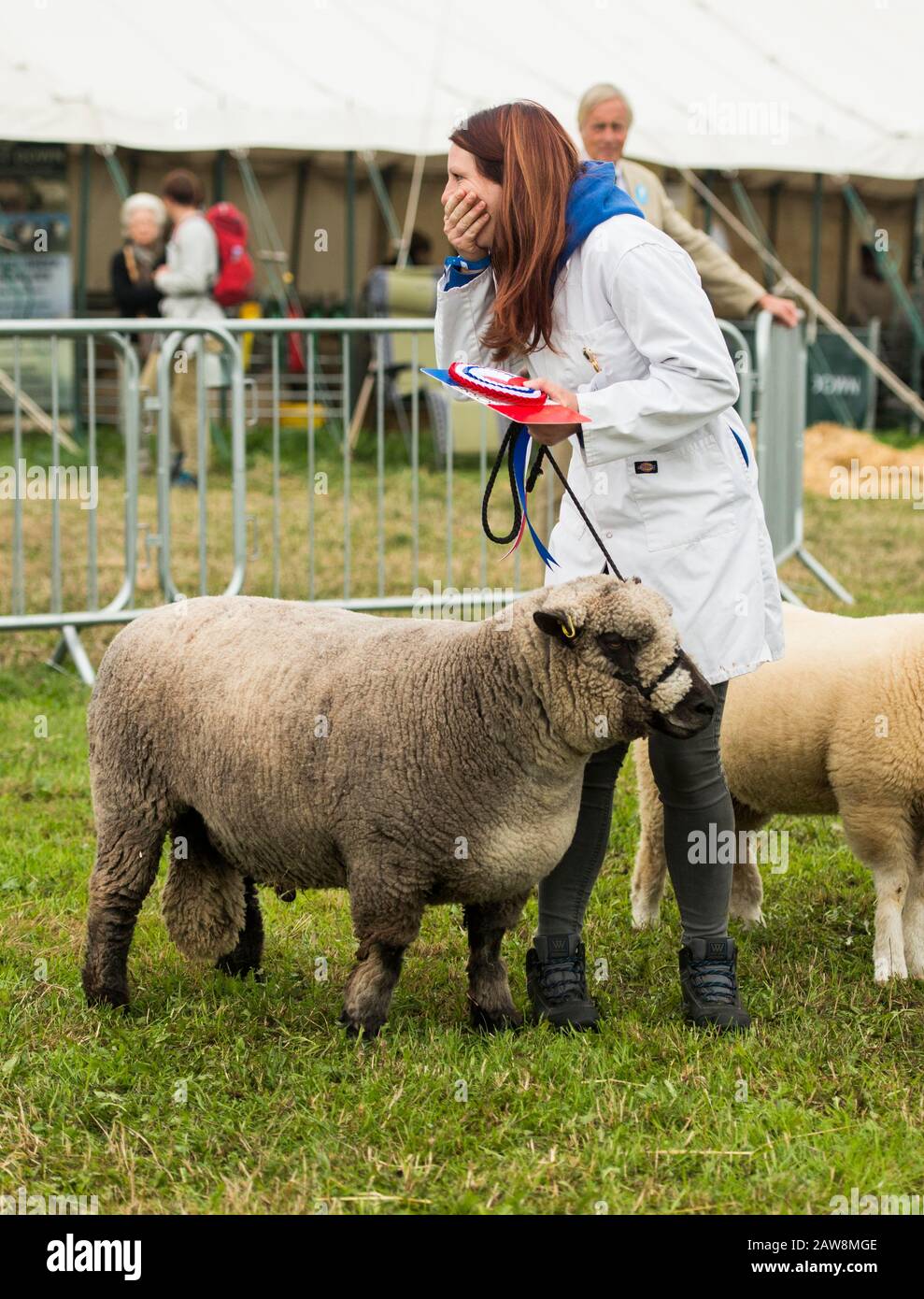 Dorset county show hi-res stock photography and images - Alamy