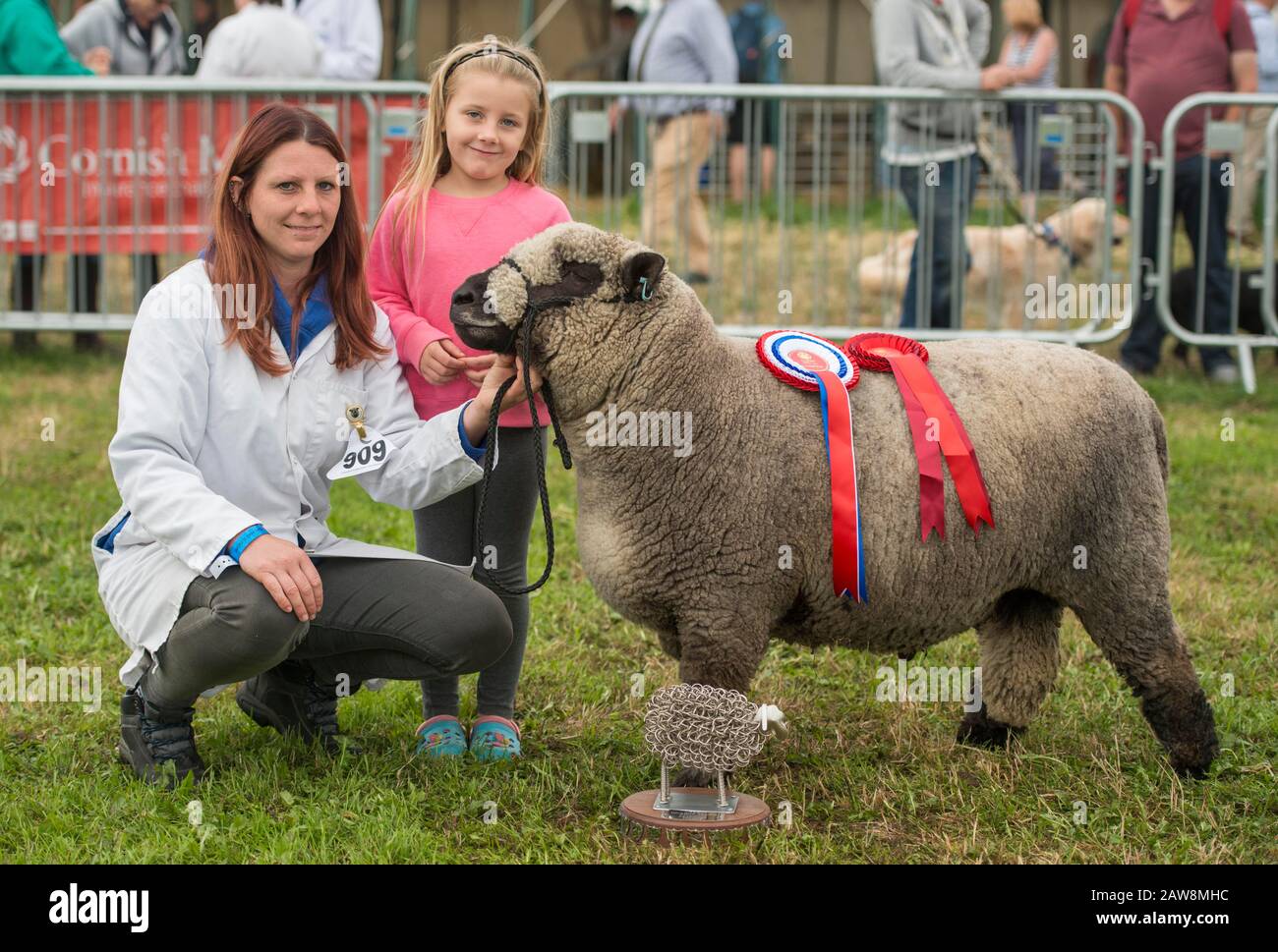 Dorset country show hi-res stock photography and images - Alamy