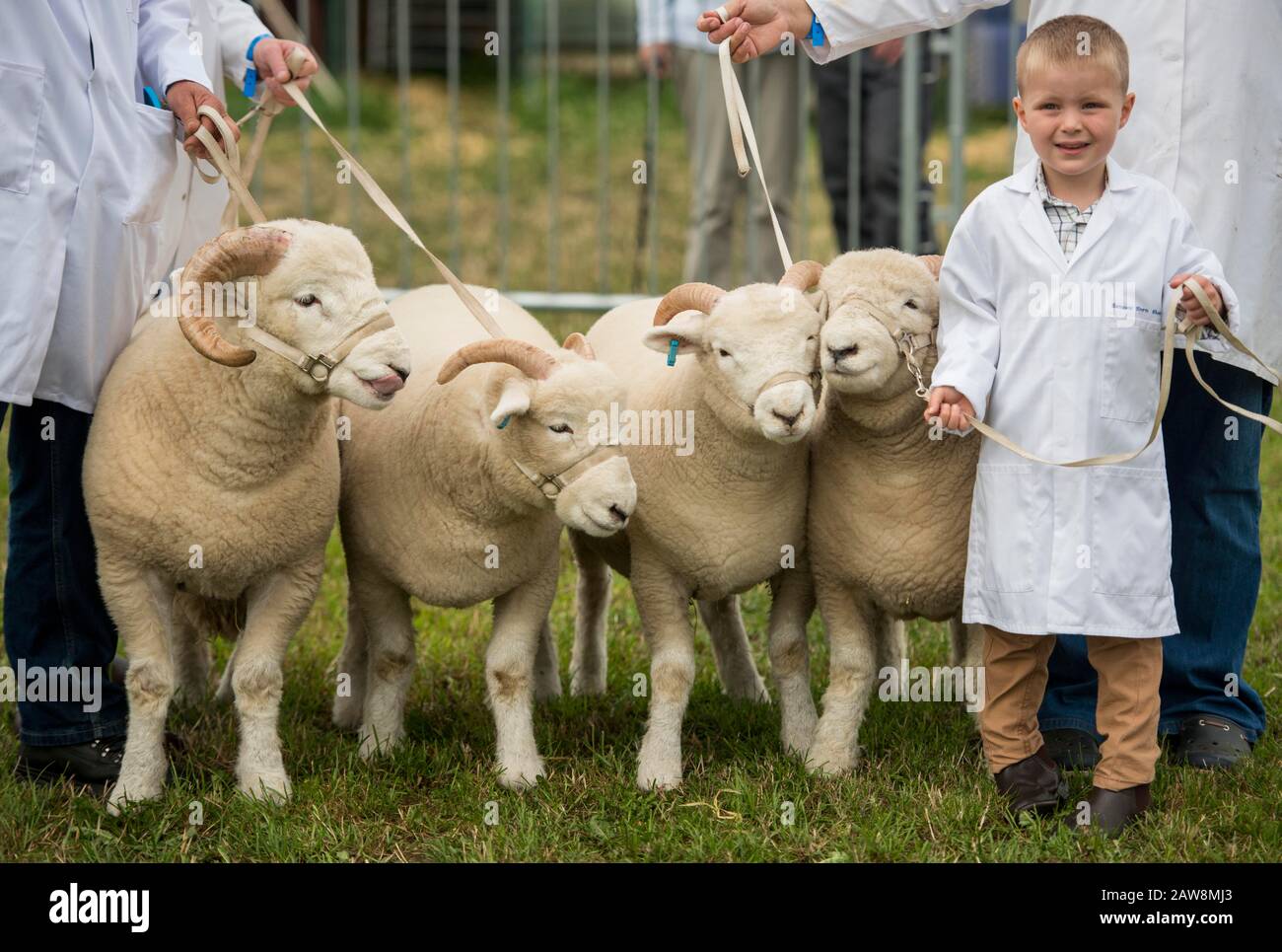 Dorset County Show Stock Photo - Alamy