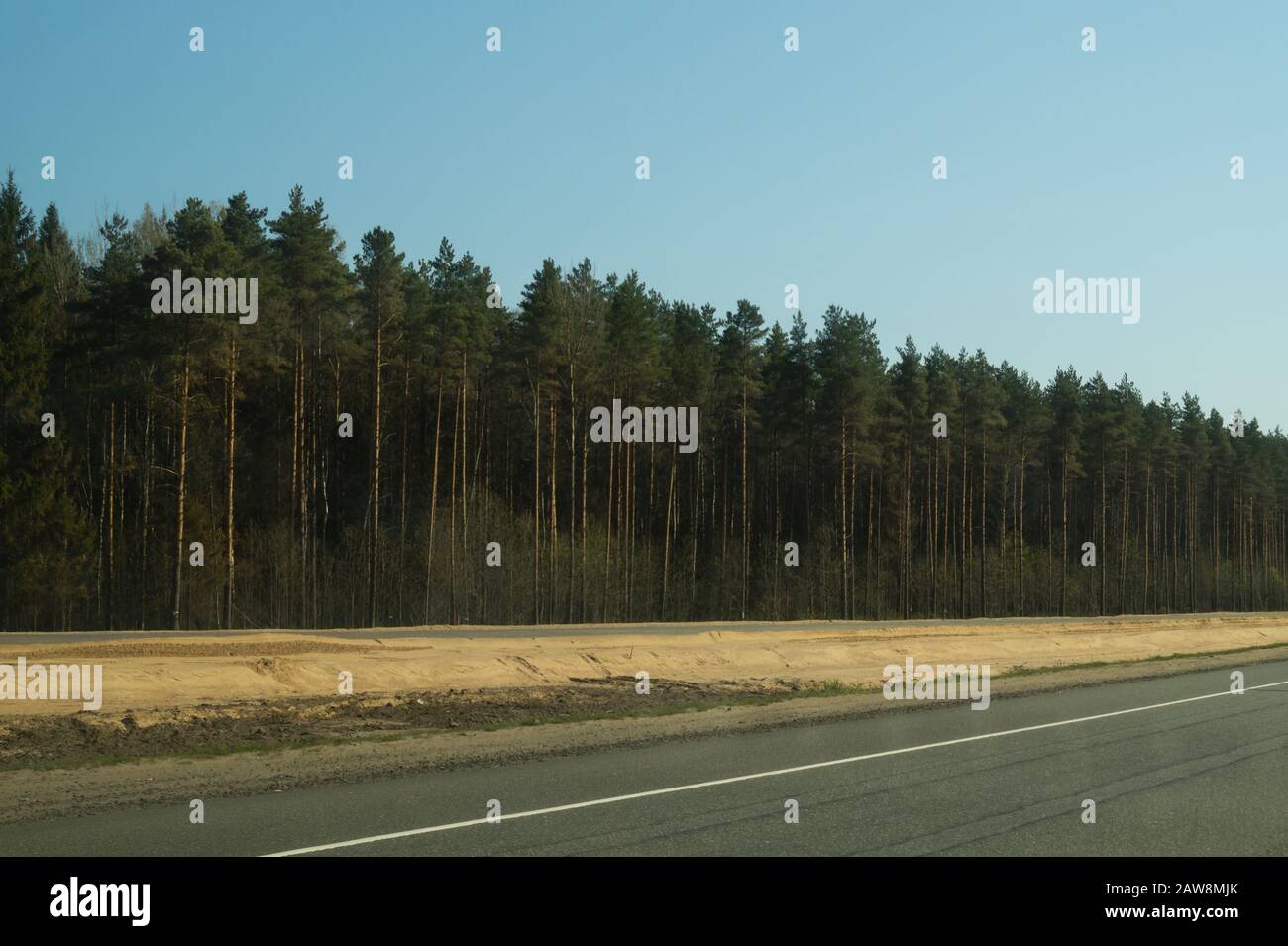 Forest road. way through the forest. country roadway Stock Photo - Alamy