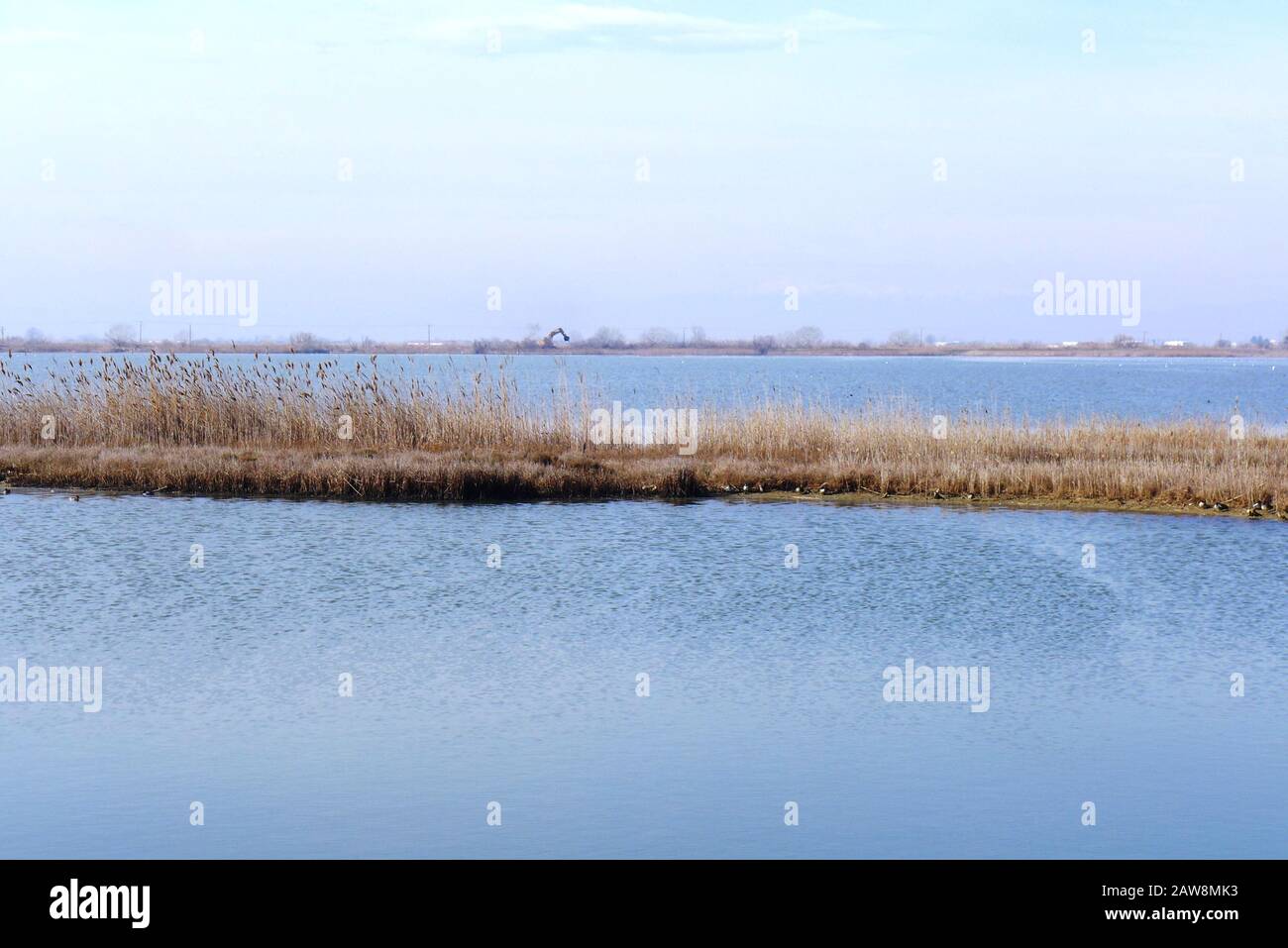 estuary of Axios river, lagoons and moors Stock Photo - Alamy