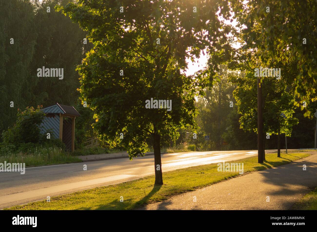 Forest road. way through the forest. country roadway with bus stop ...