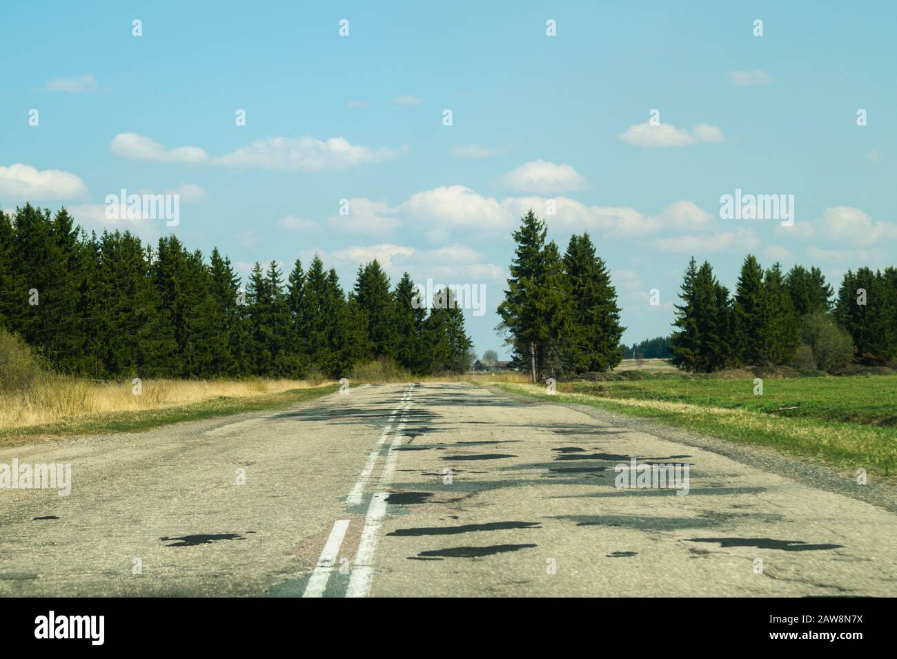 Forest road. way through the forest. country roadway Stock Photo - Alamy