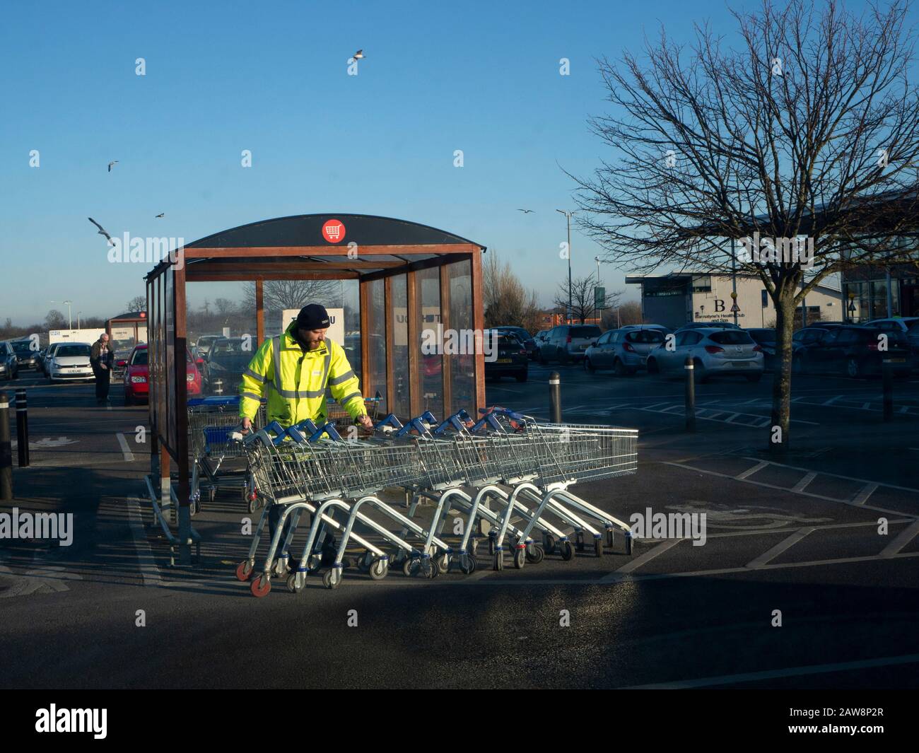 Supermarket trolley collections in car park Stock Photo - Alamy