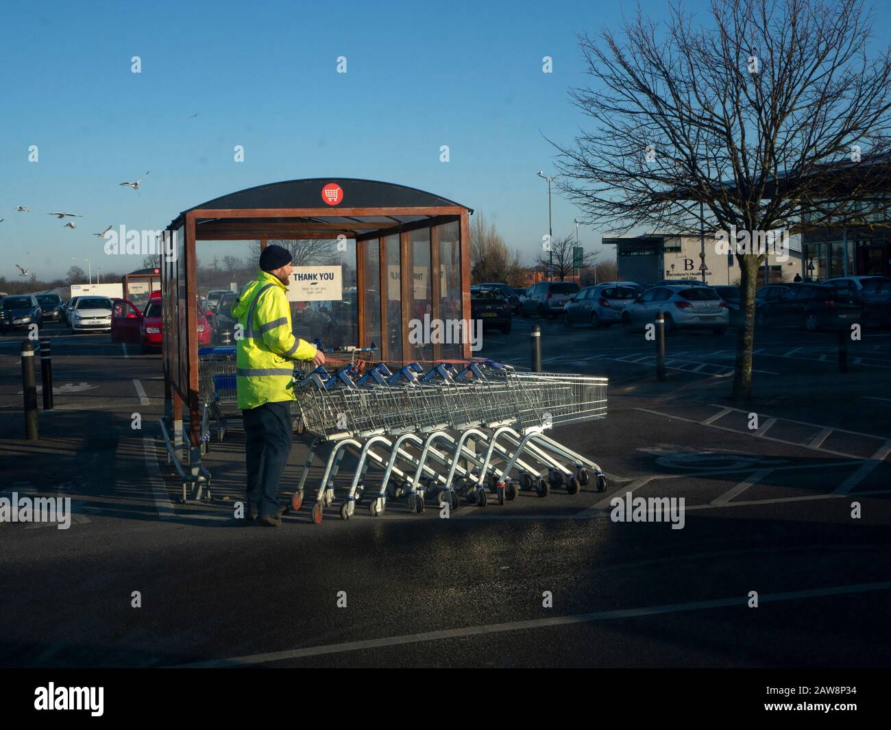 Grocery collections hi-res stock photography and images - Alamy