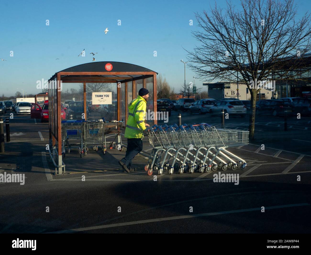 Supermarket trolley collections in car park Stock Photo - Alamy