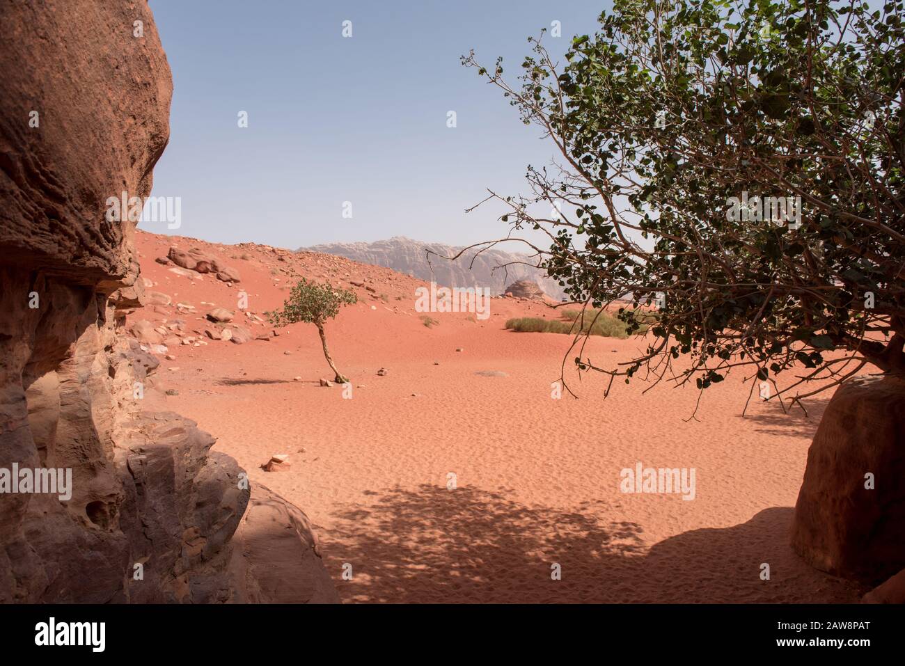 Oasis wadi rum jordan hi-res stock photography and images - Alamy