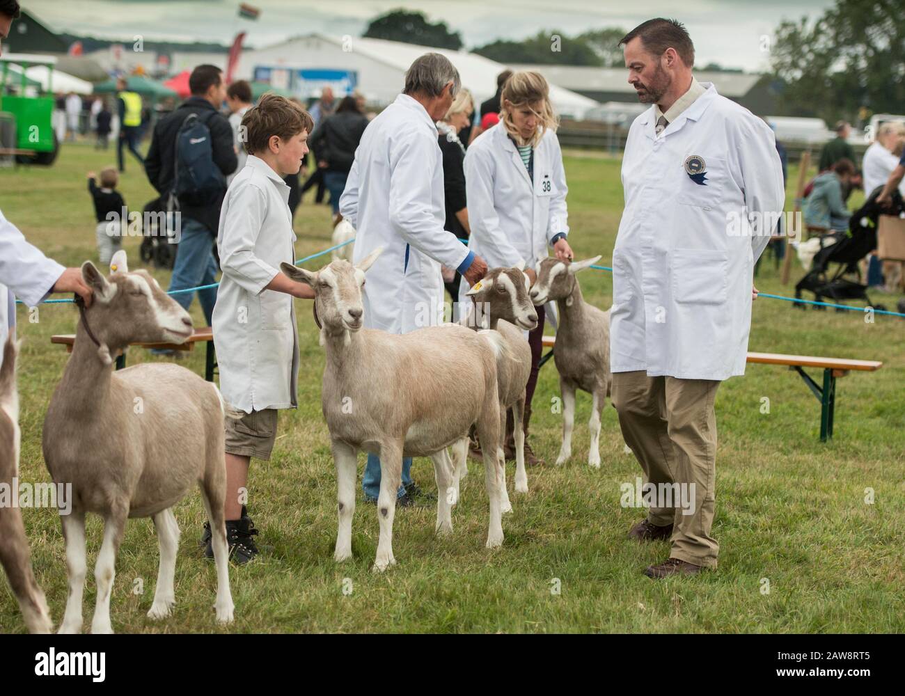 Frome cheese show hi-res stock photography and images - Alamy