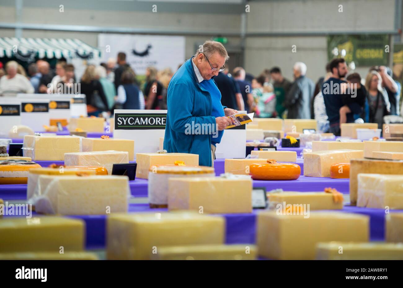 Competitiors are judged at Frome Cheese Show one of a number of ...