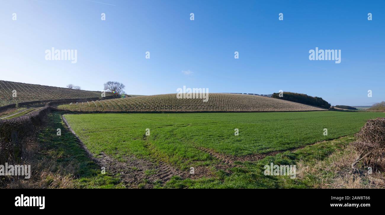 Wood on wolds hi-res stock photography and images - Alamy