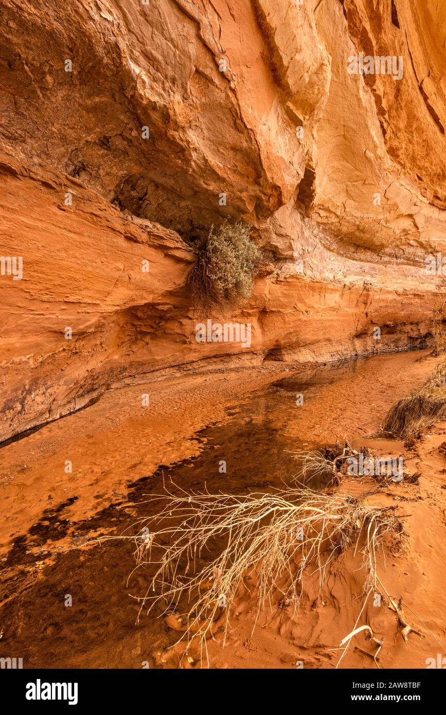 Red sandstone texture hi-res stock photography and images - Alamy