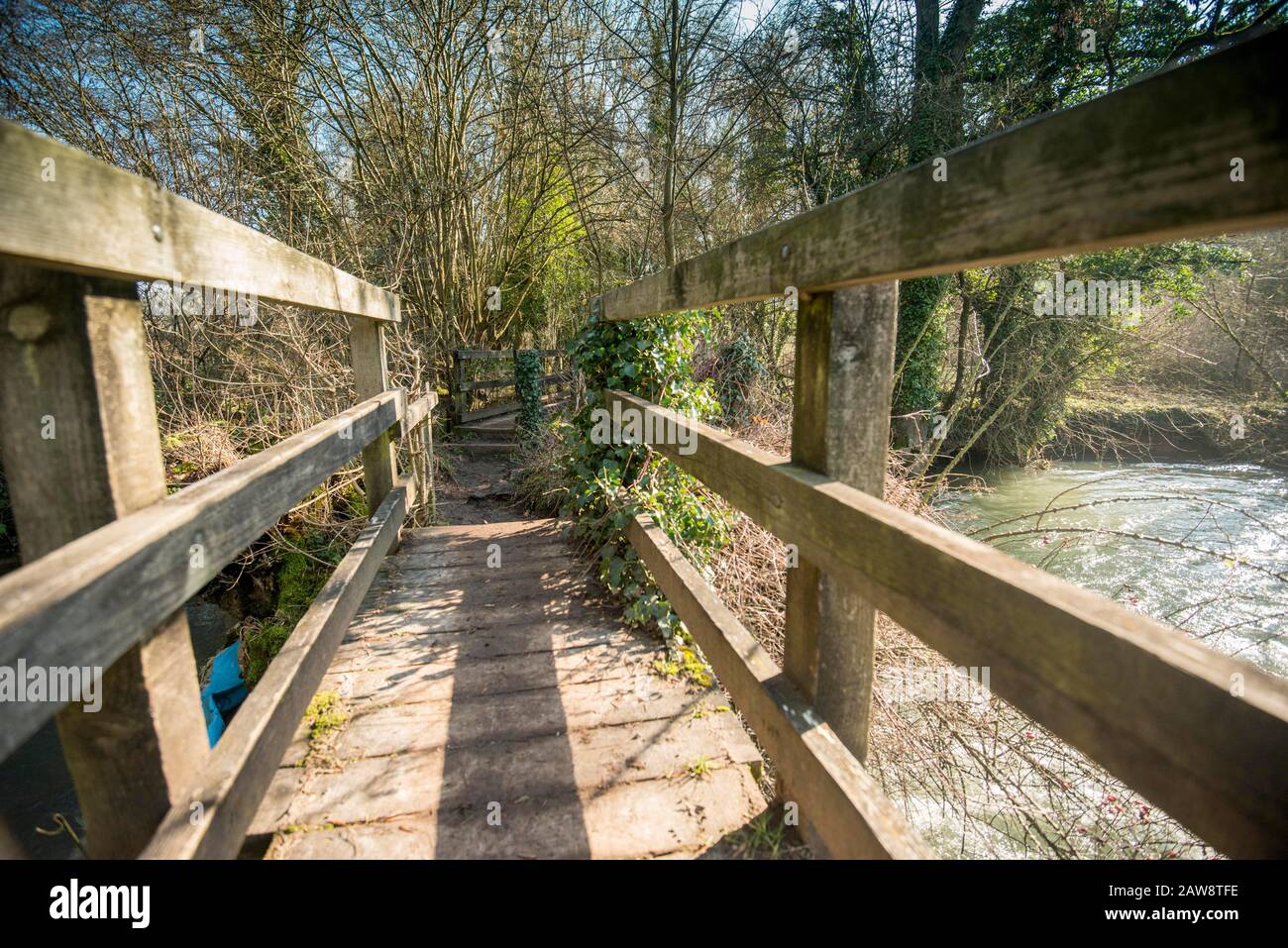 Spring at Rag Mill wood, Slaughterford, Wiltshire Stock Photo - Alamy